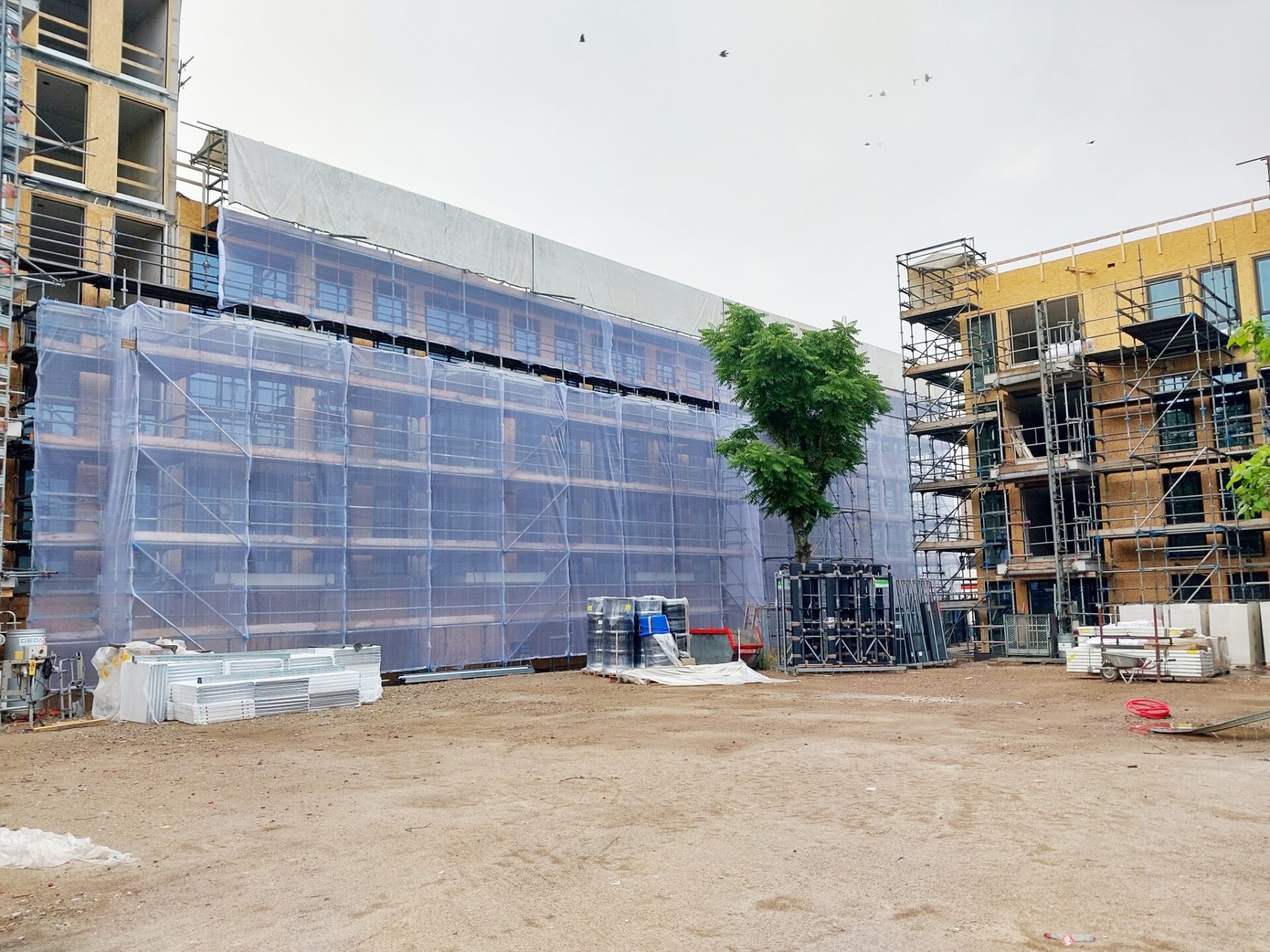 Voortgang Boschveld Den Bosch - Moeskops